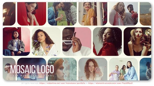Download Fast Blog Logo Reveal - Videohive - aedownload.com