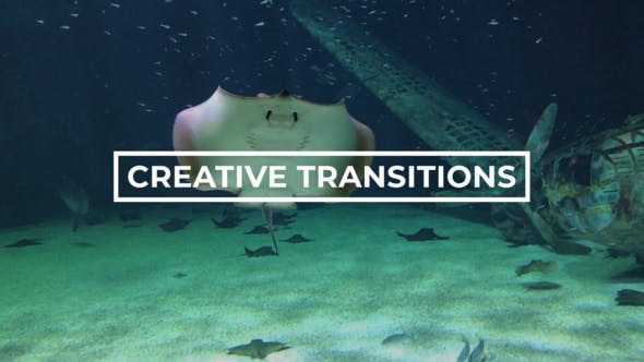Download Creative Transitions - Videohive - aedownload.com