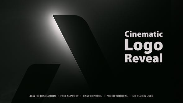Download Logo Reveal - Videohive - aedownload.com