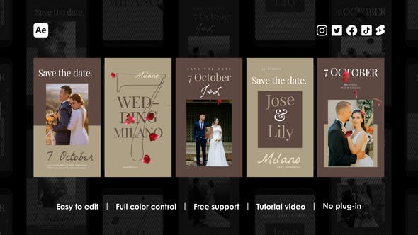 Download Invitation Instagram Reels - Videohive - aedownload.com